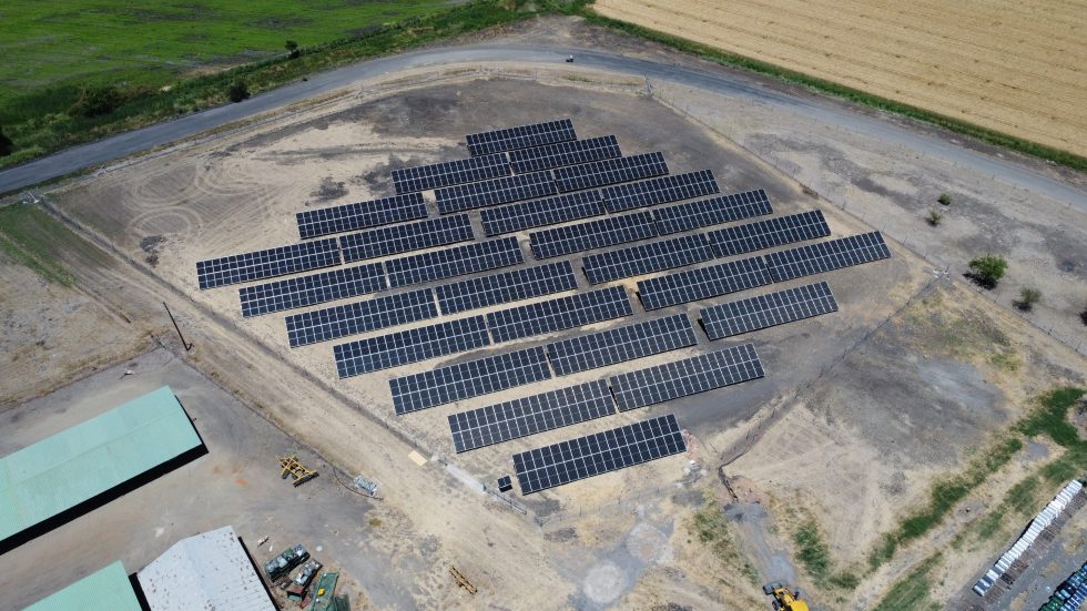 Magalies Citrus | Solarcare